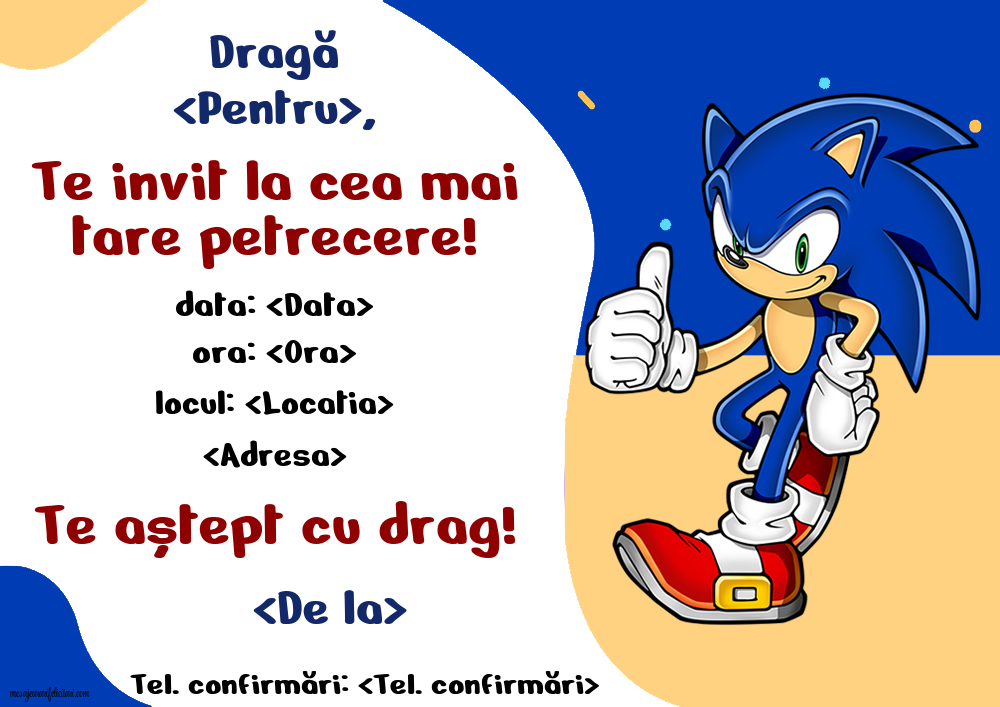 Te invit la cea mai tare petrecere cu ariciul Sonic | Personalizare ...