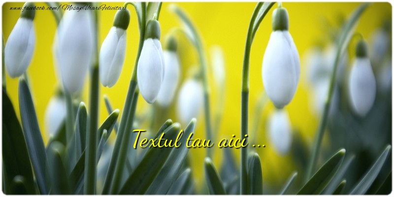 Personalizare felicitari cu text | Martisor 1 Martie | Martisor ...