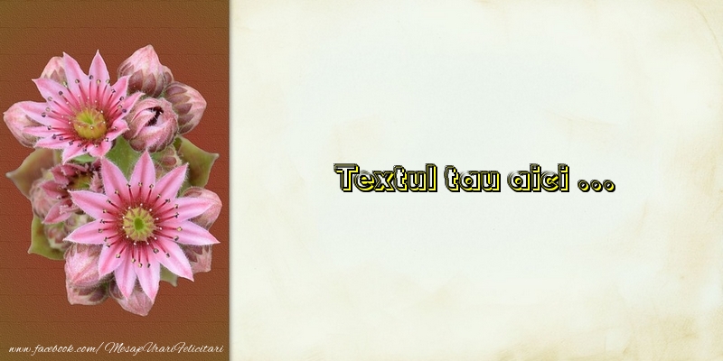 Personalizare felicitari cu text | Dragoste | Chenar pentru text pe ...