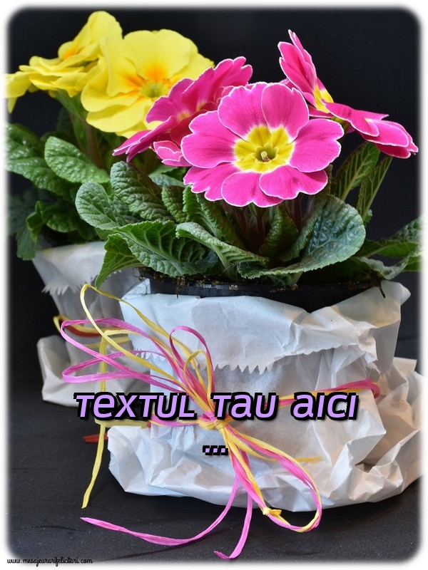 Personalizare felicitari cu text | La multi ani: Cele mai noi ...