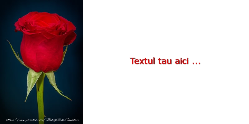 Personalizare felicitari cu text | Zi de nastere | Trandafir ...