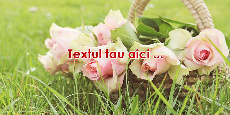 Personalizare felicitari cu text | Zi de nastere | Felicitari de zi de ...