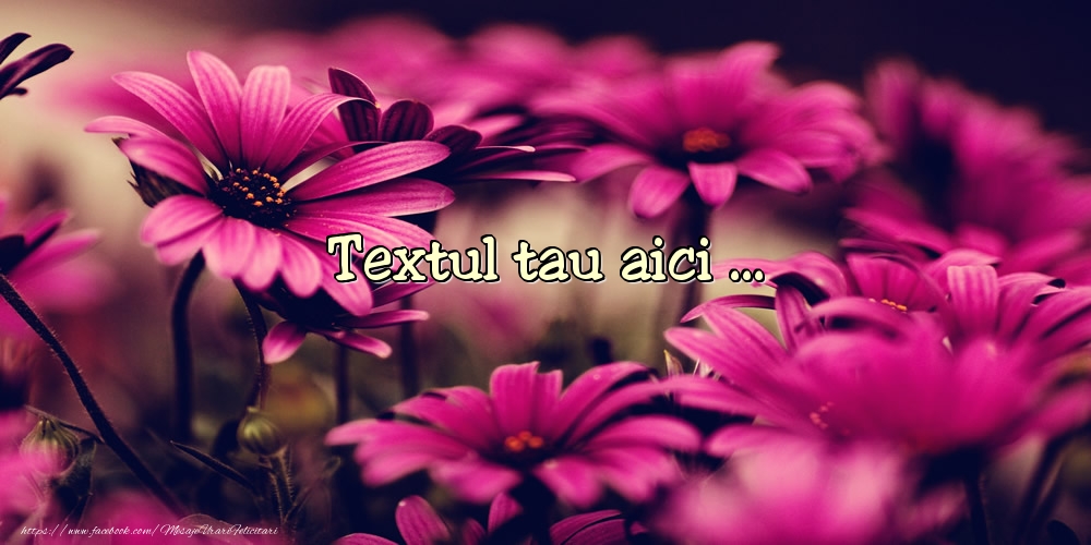Personalizare felicitari cu text | Zi de nastere | Felicitari de zi de ...