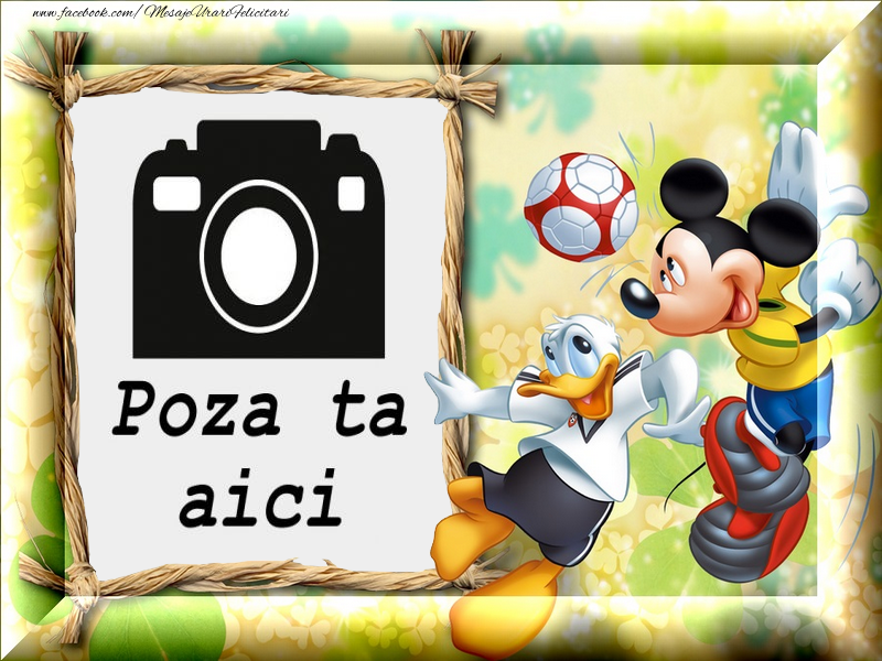 Rama foto - Mickey Mouse și Donald | Personalizare felicitari cu poza ...