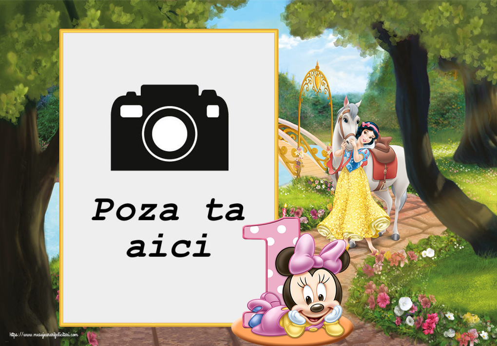 Rama foto ~ Albă ca Zăpada - Minnie Mouse 1 an | Personalizare ...