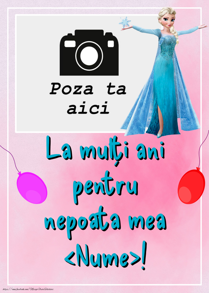 Ramă foto cu Elsa din Frozen pentru fete: La mulți ani pentru nepoata ...