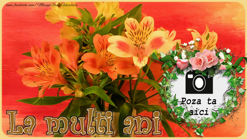 La multi ani! | Personalizare felicitari cu poza ...