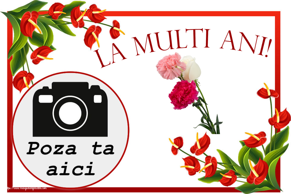 La multi ani! - Rama foto cu bordura cu flori si trei garoafe ...