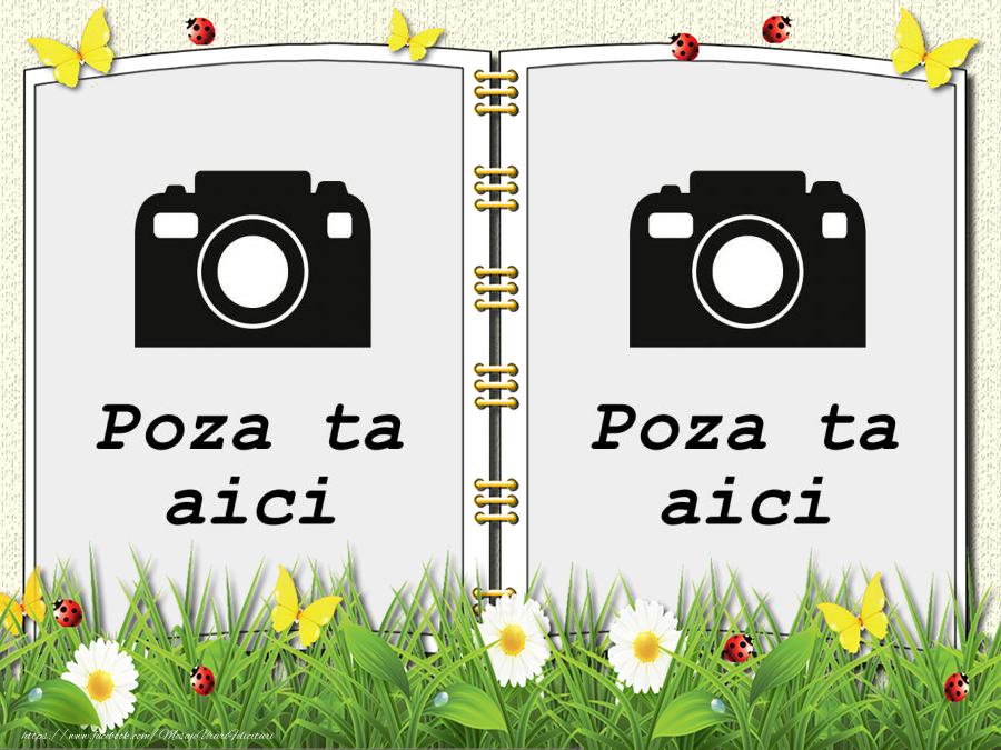 Colaj foto cu două poze pe fundal cu flori, fluturi și buburuze ...