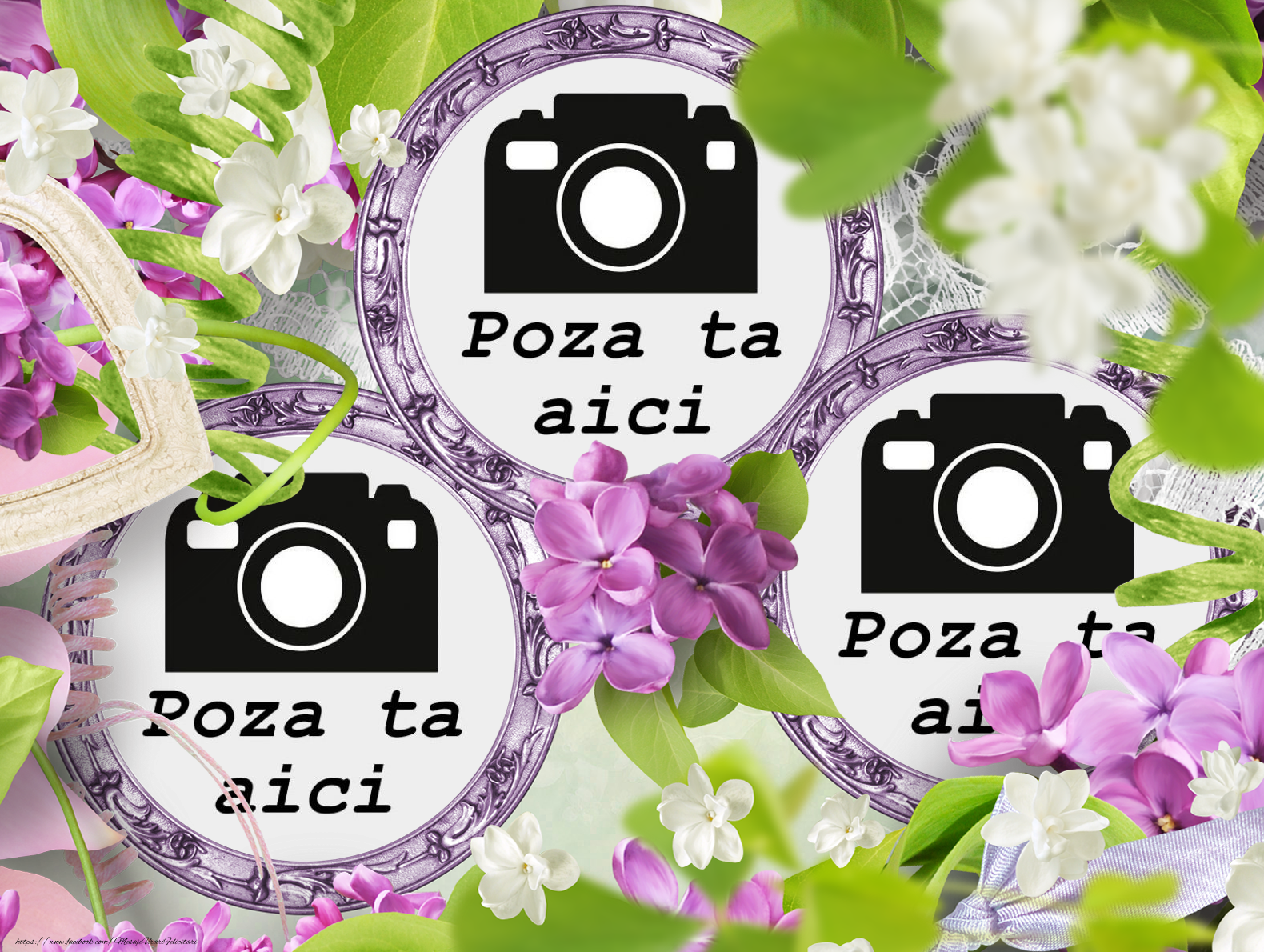 Colaj cu 3 poze: Cadre rotunde pe fundal cu flori | Personalizare ...