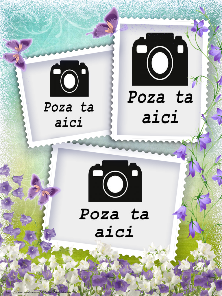 Colaj cu 3 poze: Fluturi si flori mov | Personalizare imagini ...
