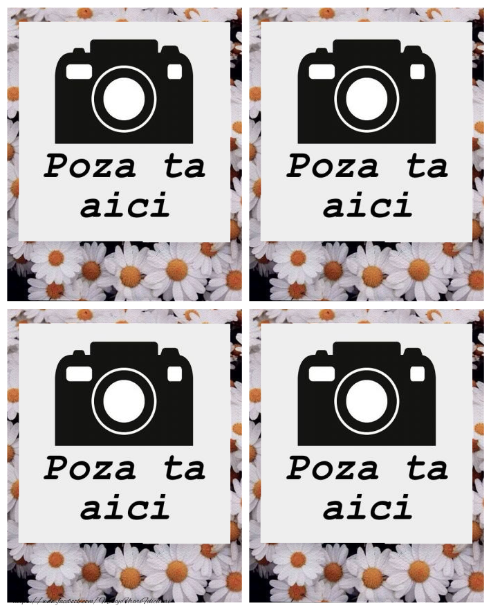 Colaj cu patru poze in rame cu flori | Personalizare imagini ...