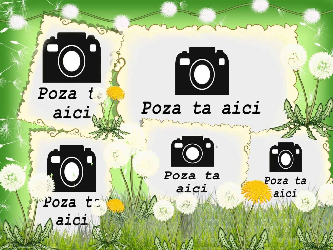 Un colaj superb de primavara cu 5 poze pe iarba | Personalizare imagini ...