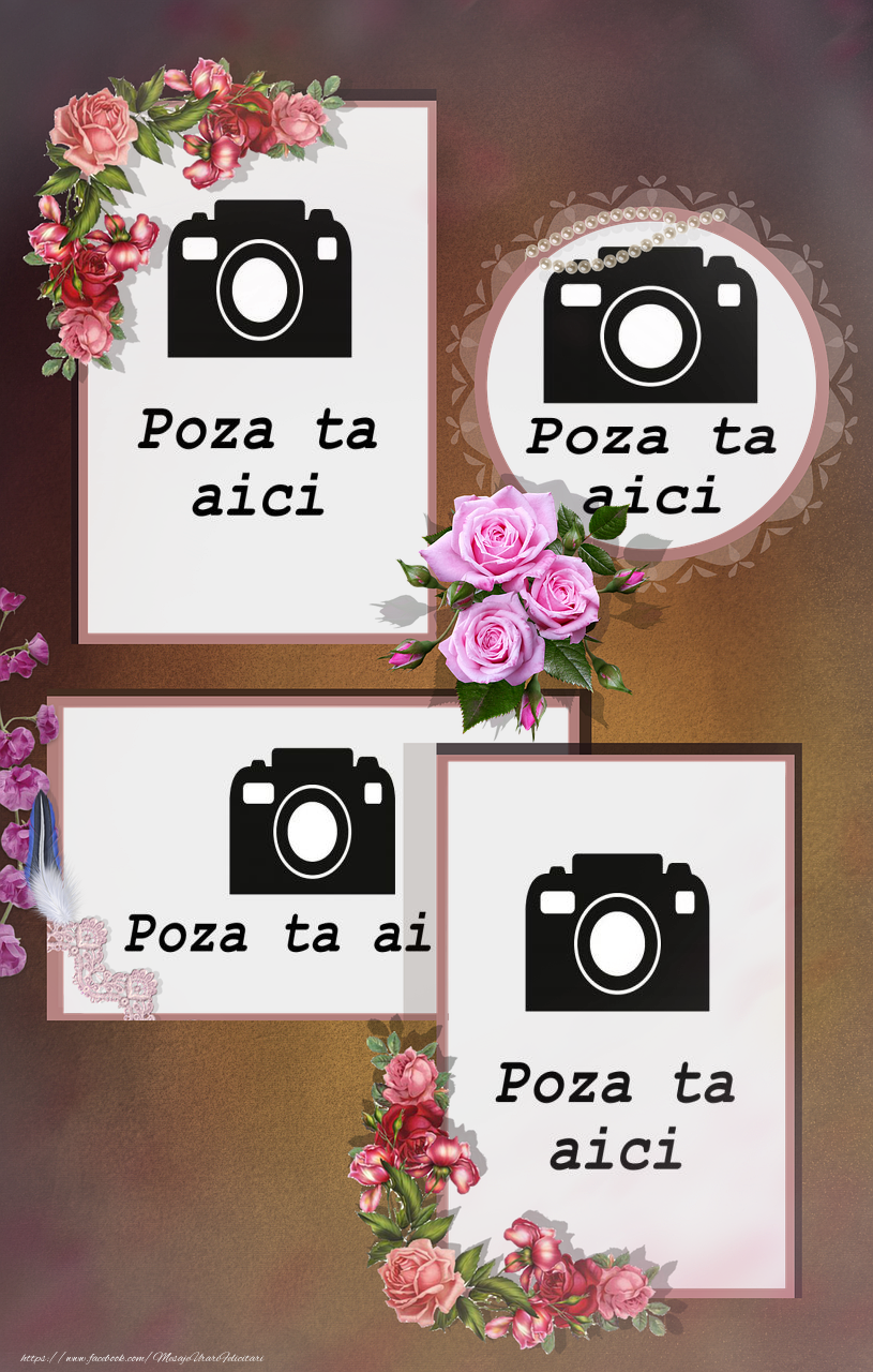 Colaj foto cu 4 poze si trandafiri roz | Personalizare imagini ...