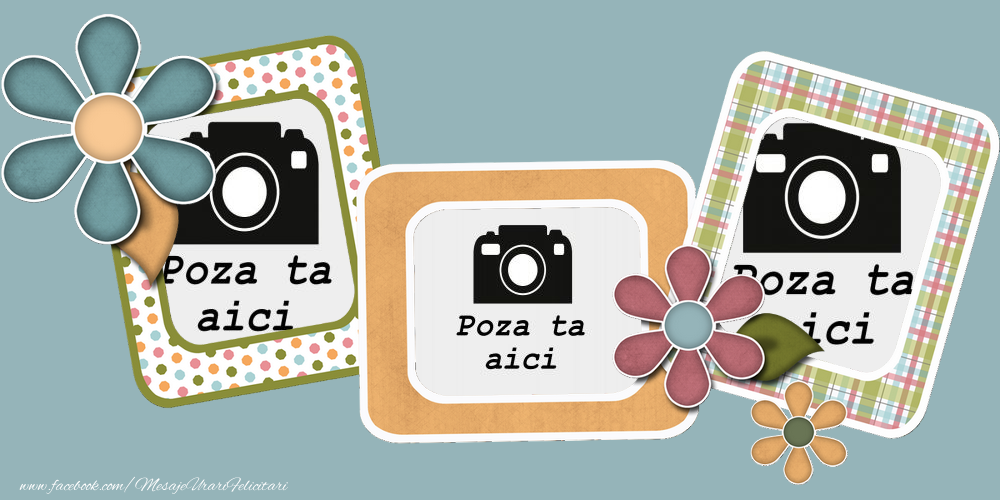 Colaj cu trei rame foto cu flori | Personalizare imagini ...