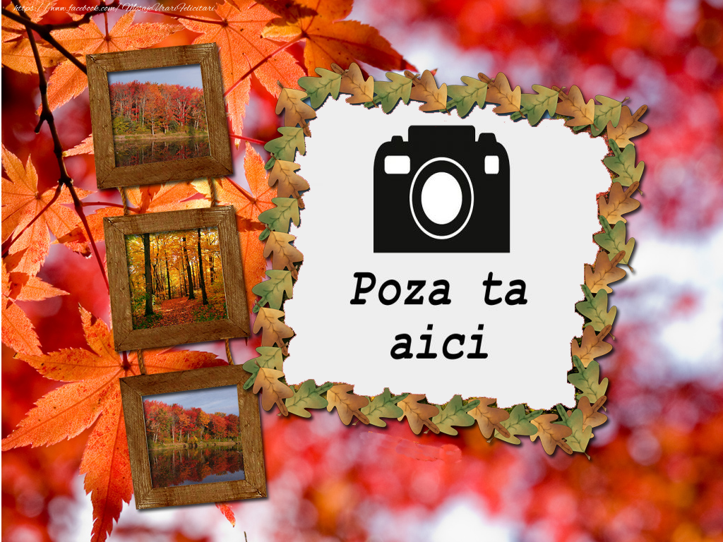 Rama foto | Personalizare imagini | felicitaripersonalizate.com