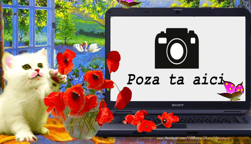 Background calculator | Personalizare imagini | felicitaripersonalizate.com