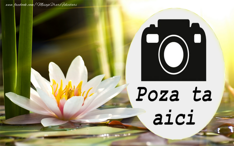 Rama foto | Personalizare imagini | felicitaripersonalizate.com