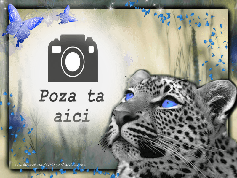 Poster tigru | Personalizare imagini | felicitaripersonalizate.com