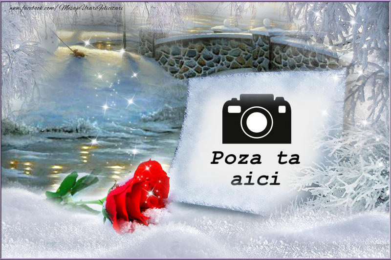 Fotografie | Personalizare imagini | felicitaripersonalizate.com