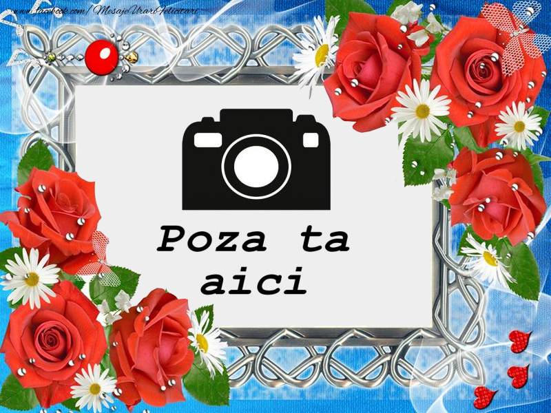 Fotografie personalizata cu flori | Personalizare imagini ...