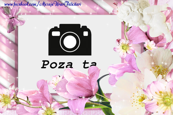 Rama foto cu flori de primăvară | Personalizare imagini ...