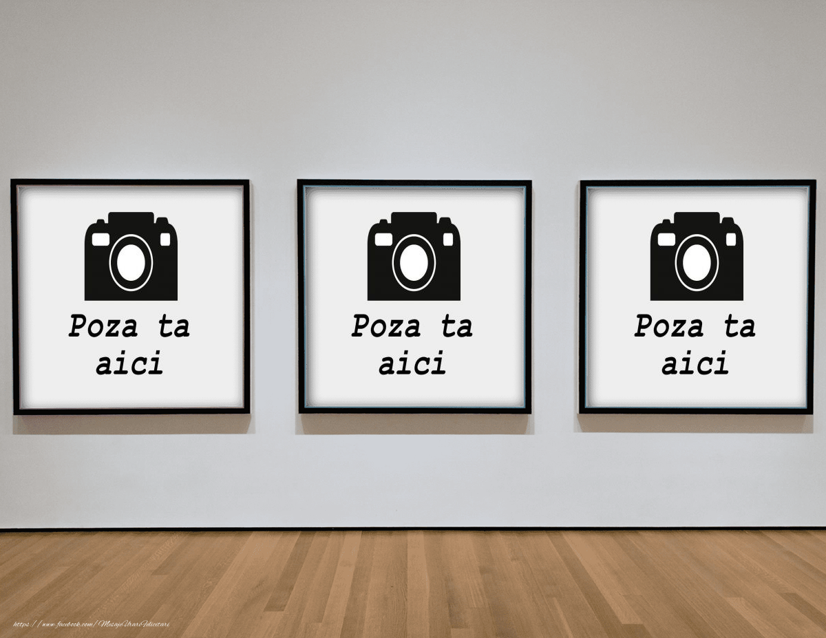 Colaj cu 3 poze: Tablouri pe perete | Personalizare imagini ...