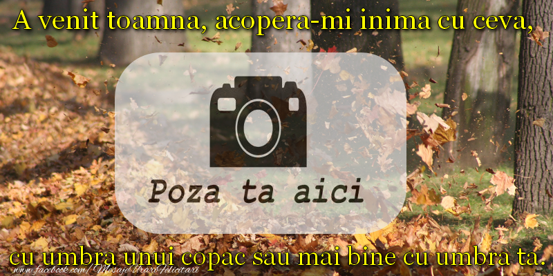 A venit toamna, acopera-mi inima cu ceva, cu umbra unui copac sau mai ...