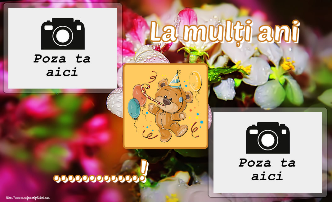 2 Poze - fundal cu flori, Teddy cu baloane | Personalizare felicitari ...