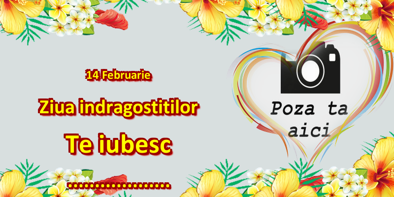 14 Februarie Ziua indragostitilor Te iubesc ... - Rama foto ...