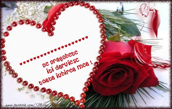de ziua Indragostitilor iti daruiesc toata iubirea mea ... de ziua Indragostitilor iti daruiesc toata iubirea mea ...