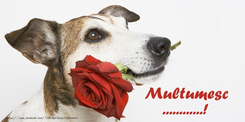 Multumesc ...! | Personalizare felicitari cu nume ...